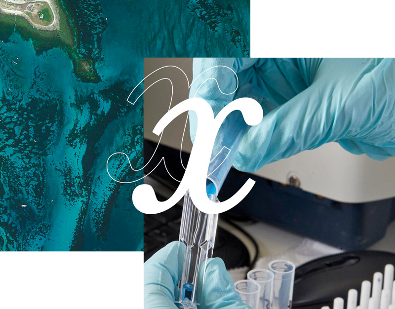 Olmix – Innovative Lösungen biologischen Ursprungs für eine ...